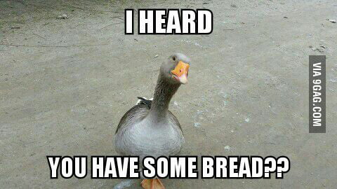 Bread? - 9GAG