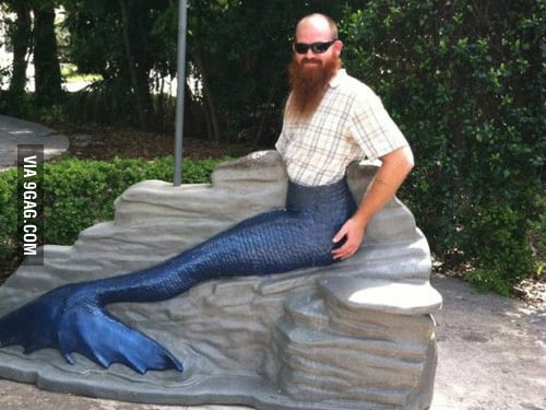 The most random picture ever - 9GAG