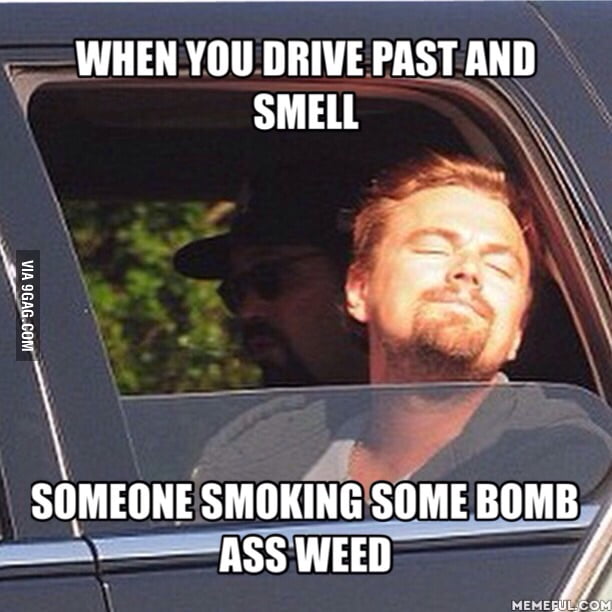 When you smell someone smoking that Loud while driving with the windows ...