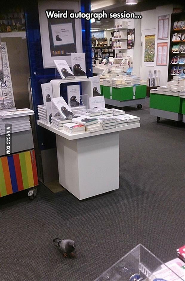 Wierd session - 9GAG