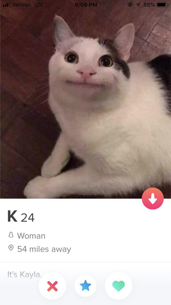 Saw this derp cat on tinder - 9GAG