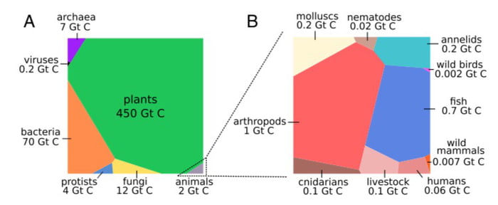 The biomass distribution on Earth - 9GAG