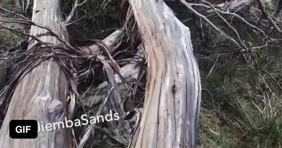 This guy flipping - 9GAG