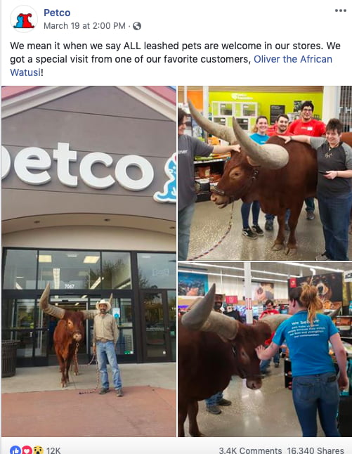 Petco Really Does Allow ALL Leashed Pets - 9GAG