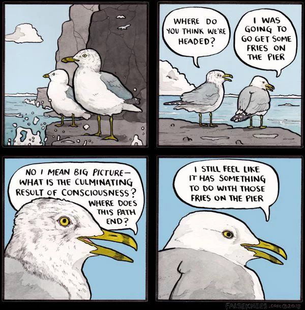 Seagull logic - 9GAG