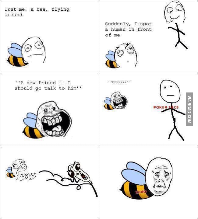 Misunderstood bee - 9GAG