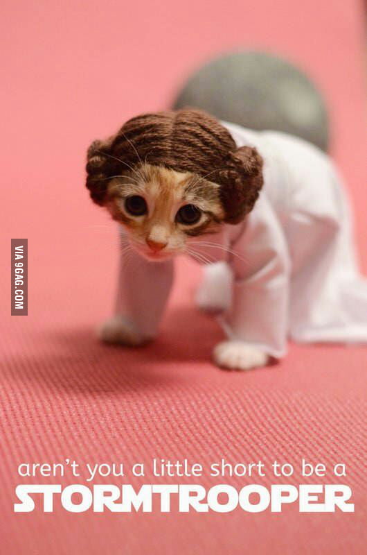 Princess meow :3 - 9GAG