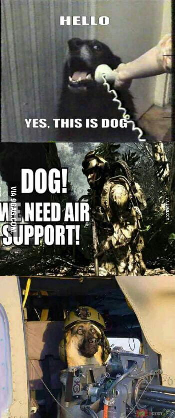 Dog we need air support. - 9GAG