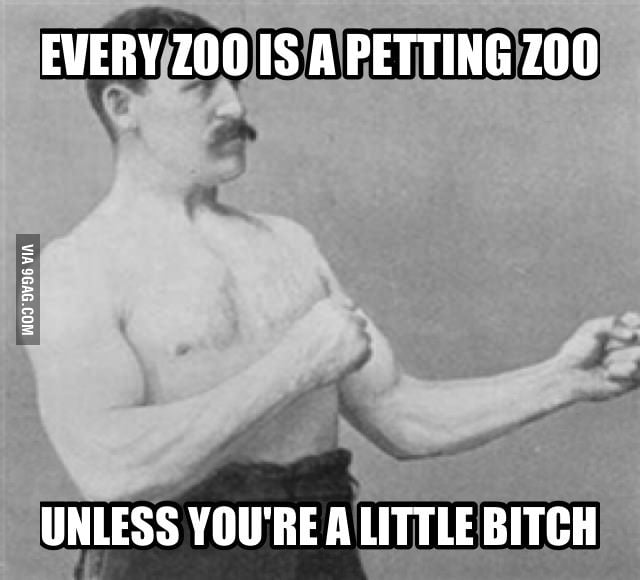 Every zoo is a petting zoo - 9GAG