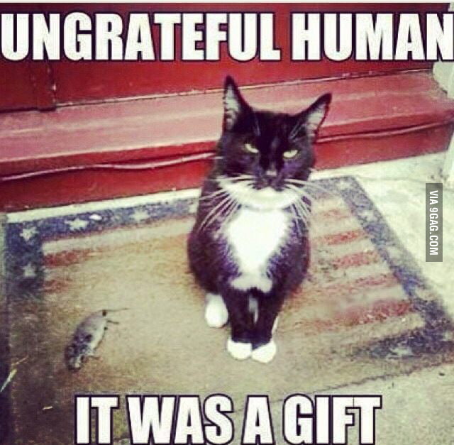 Scumbag humanity - 9GAG