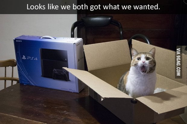Cats and PS4 - 9GAG