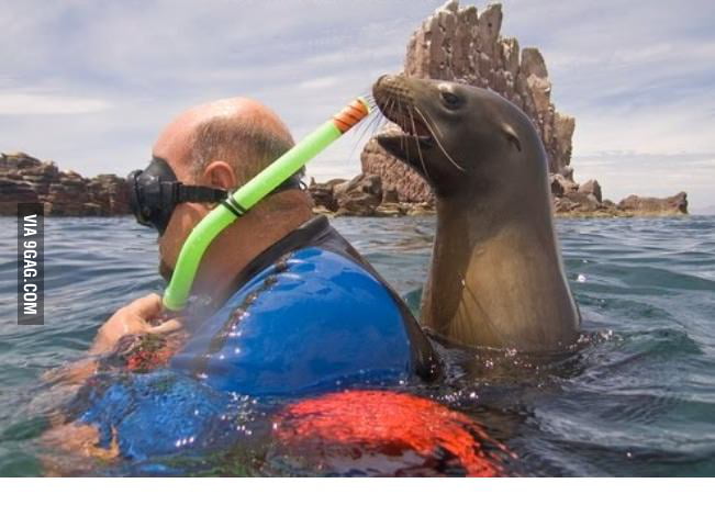 Troll level: Master - 9GAG