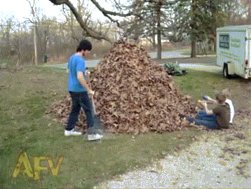 Raking leaves. - 9GAG