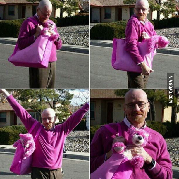 Walter... Pink? - 9GAG