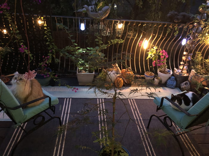 These guys are super cozy out here. - 9GAG