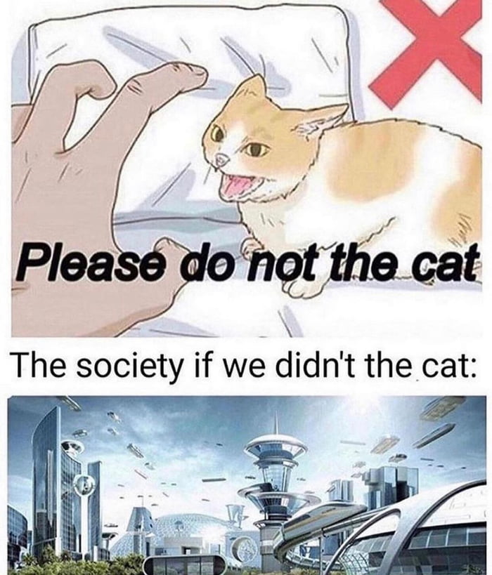 Please do not the cat - 9GAG