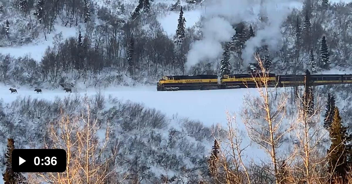Nothing to see here, just a herd of moose being pushed down the tracks ...