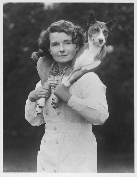 Classic photo of a Basenji dog being carried around while looking like ...