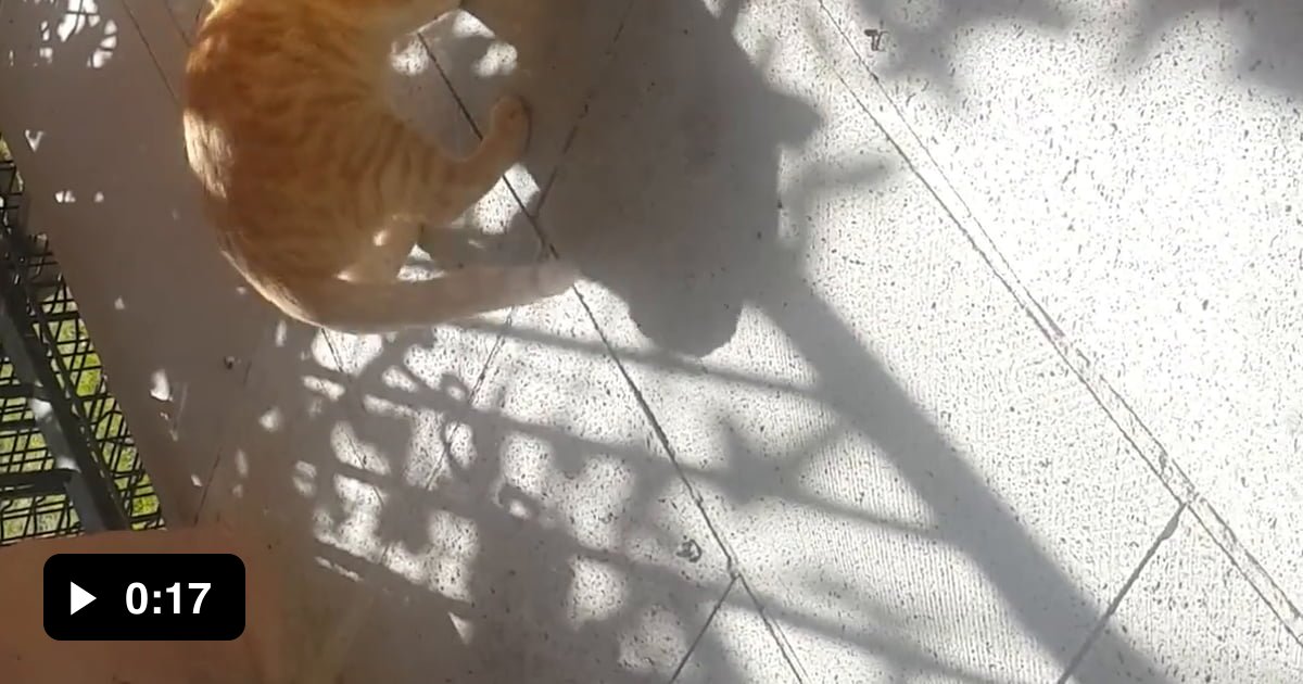 Ma heart, Ma soul! - 9GAG