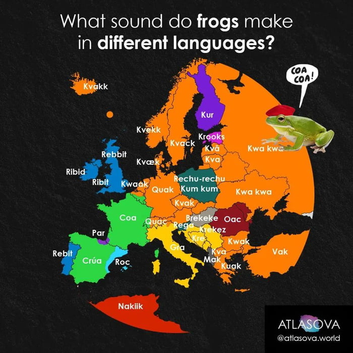 I Love Turkish Frog - 9GAG