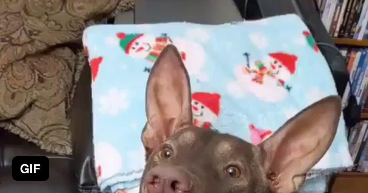 Rooby-Rooby-Roo!!! - 9GAG