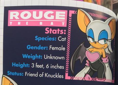 It literally says rouge the bat - 9GAG