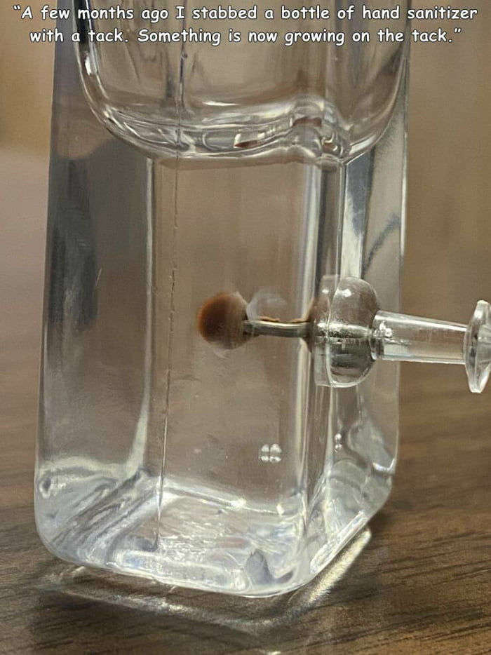 What is that? - 9GAG