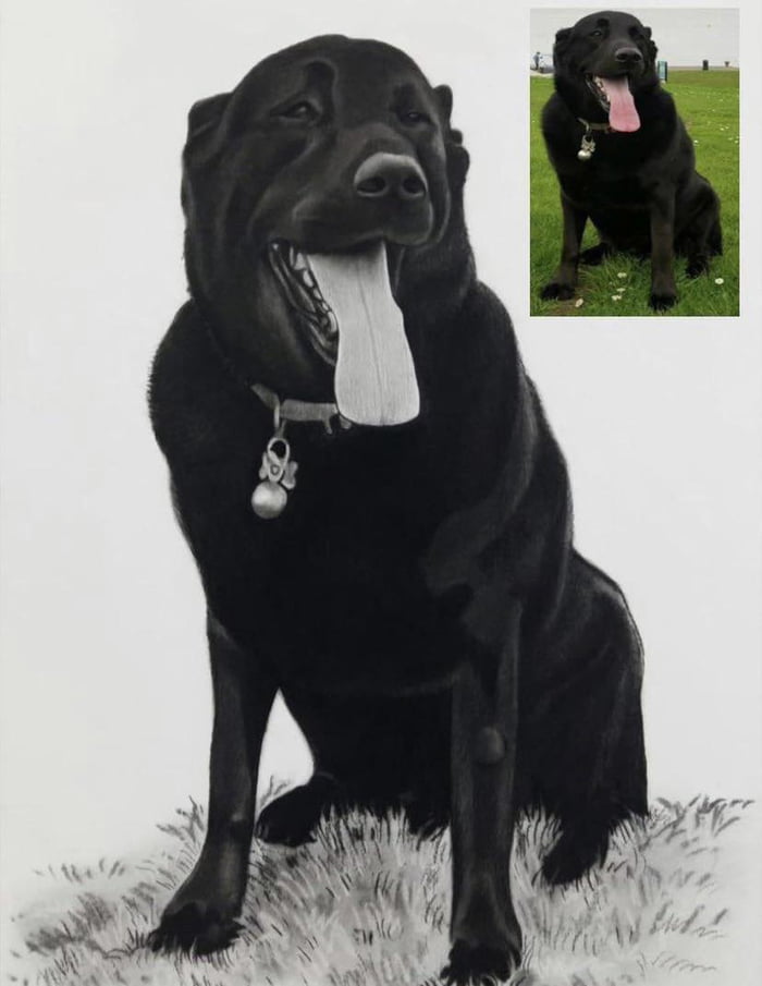 Pencil handmade portrait of labra commission artwork - 9GAG