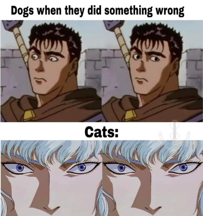 Devil creatures - 9GAG