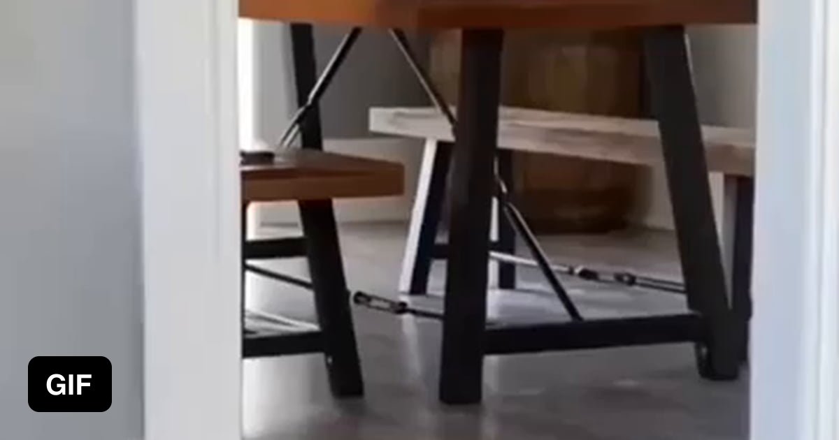 When you're scared but want to lie down - 9GAG