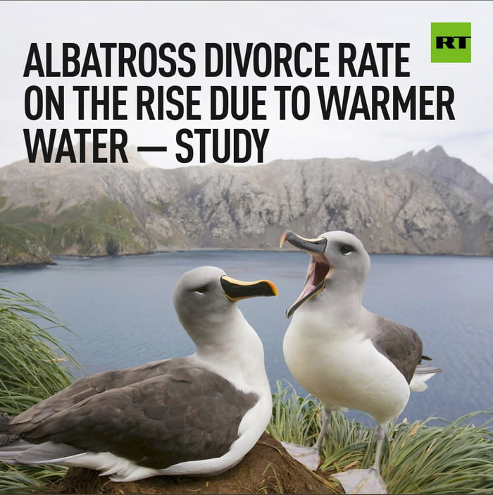 This $hit is getting serious - 9GAG