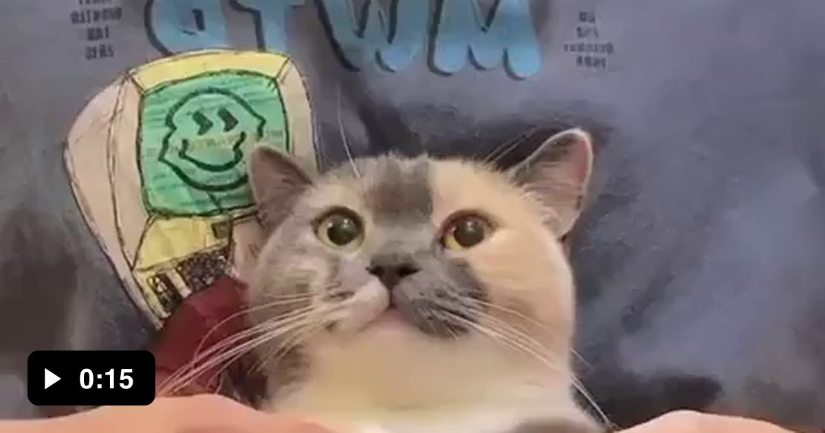 Cats got them moves - 9GAG