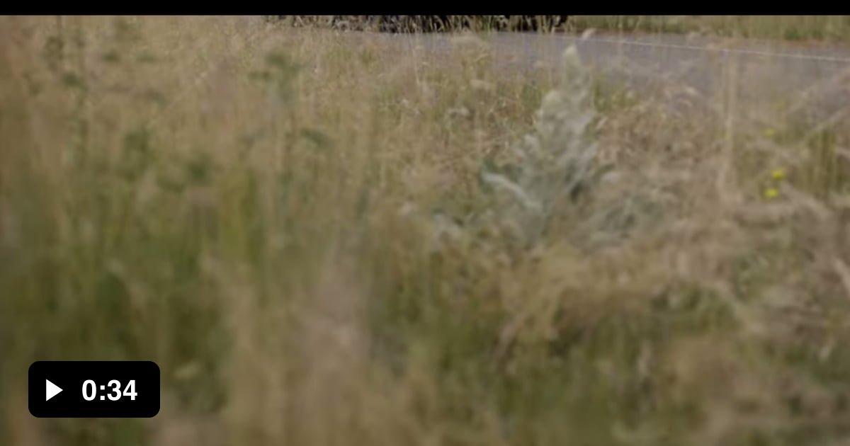 EMBT, French-German tank from KNDS has been unveiled - 9GAG