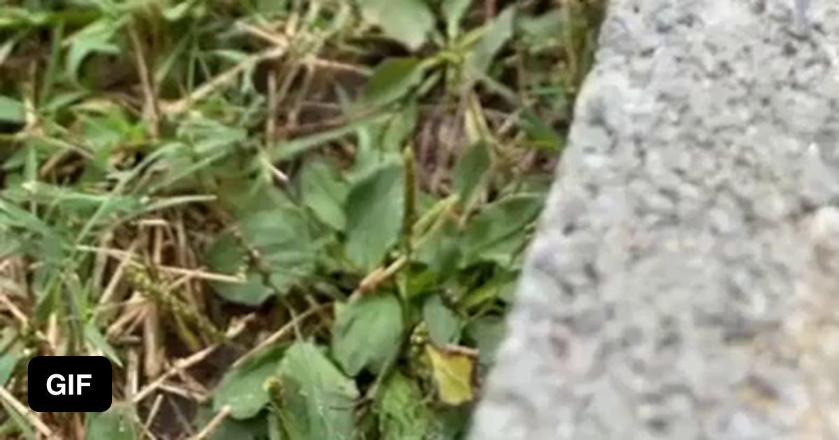 When heated, copper pipe changes colors rapidly - 9GAG