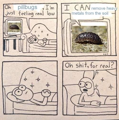 Rolly polly. - 9GAG