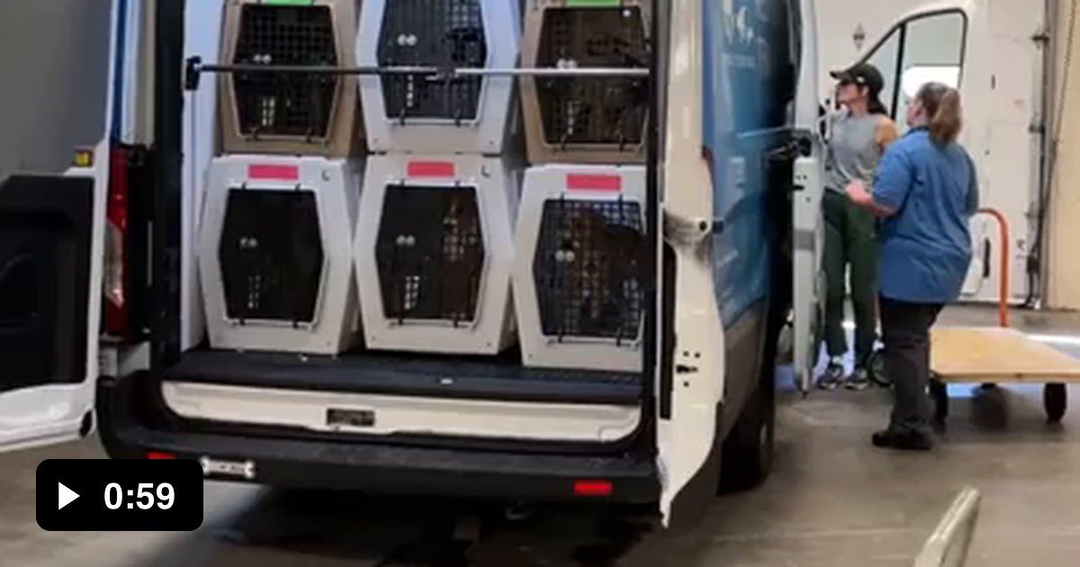 Shoutout to the Bros involved with animal rescue transport, thanks to ...