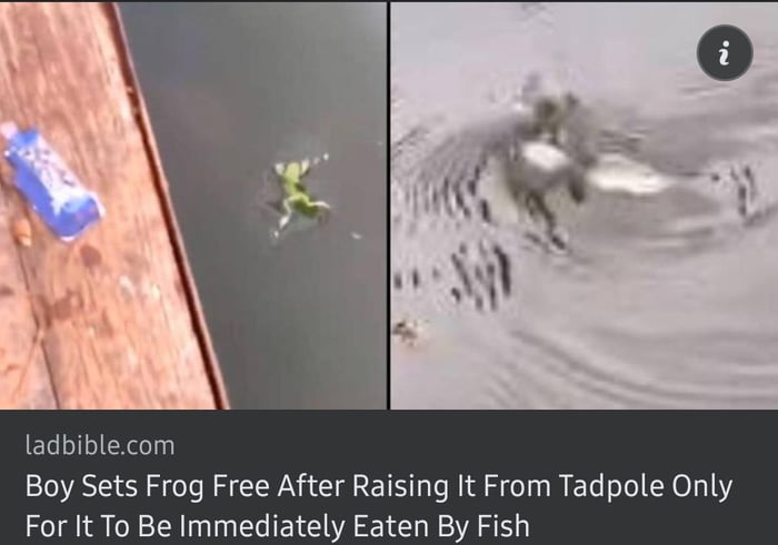 No wednesday for this dude. F - 9GAG