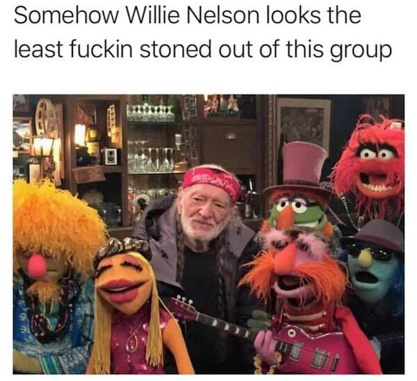 Ill Never Smoke Weed With Willie Again 9gag