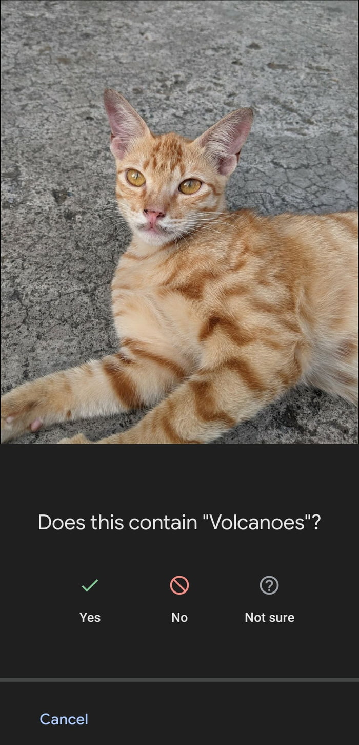 Google photos recognized my cat as a volcano - 9GAG