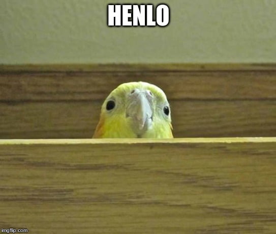HENLO - 9GAG