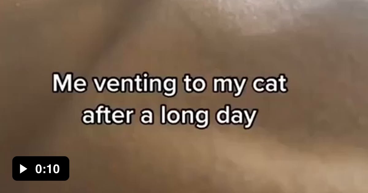 You’ve cat to be kitten me - 9GAG