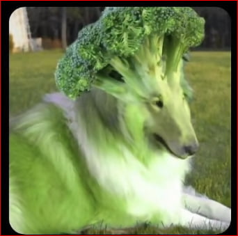 Funny Broccoli Memes Former Binance CEO CZ's Pet Broccoli Leads To 20K