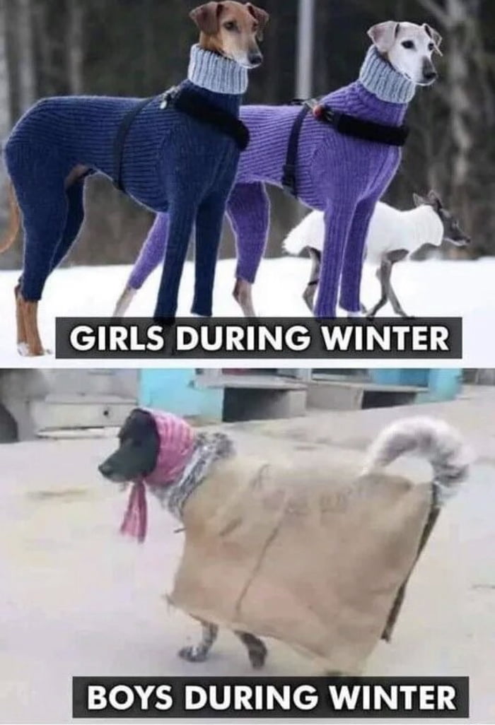 Winter - 9GAG
