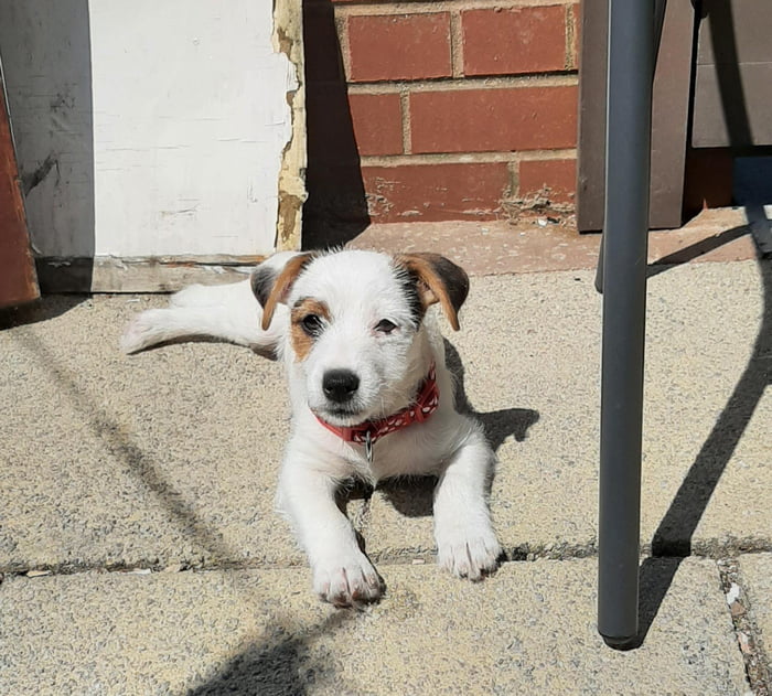 Catching some rays - 9GAG