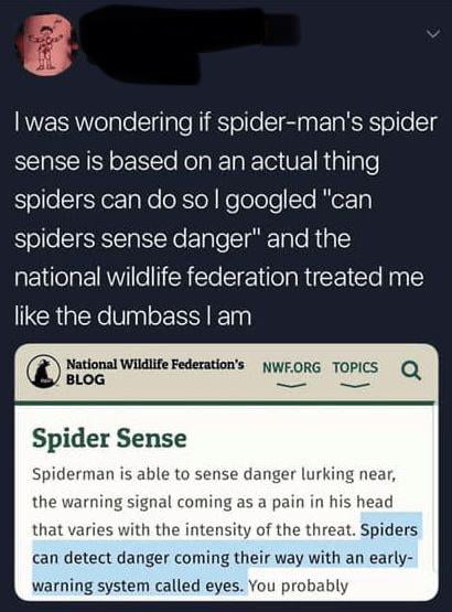 Darn those spider senses!! - 9GAG
