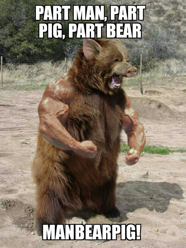 It starts out man cross with pigs. But then....But then... Its seriol ...