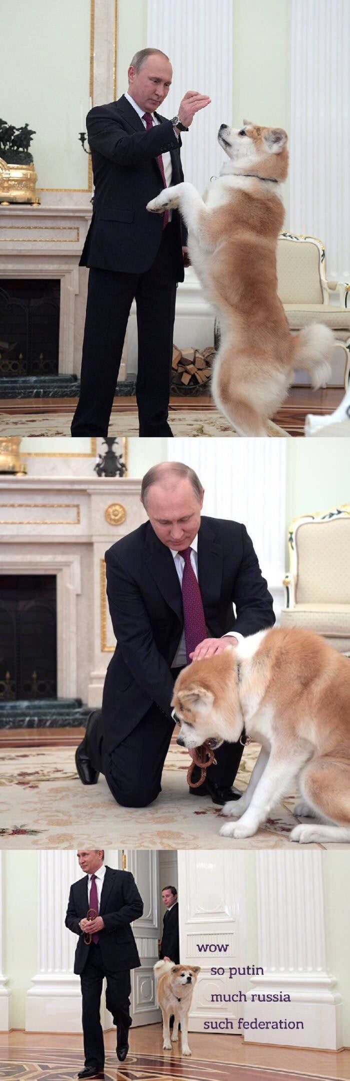 Putin is the leader of the doge army - 9GAG