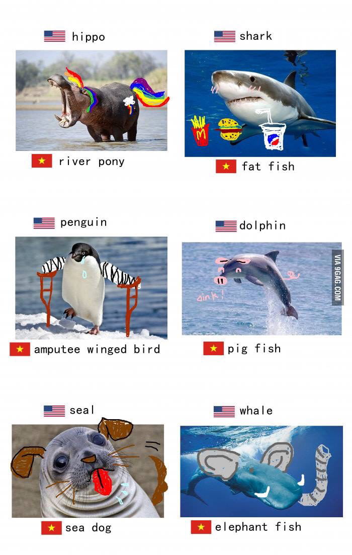 How some animals are called in my language - 9GAG
