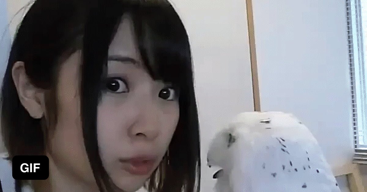 A lady and her Owls - 9GAG