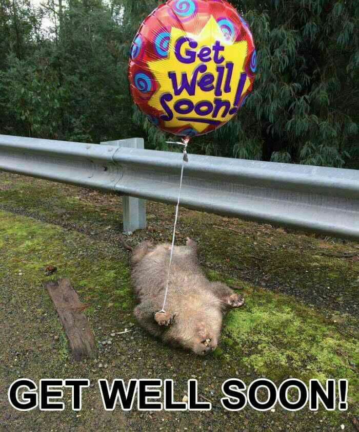 For my sick friend (M.Pantic)...with 39C fever...get well soon :-) - 9GAG